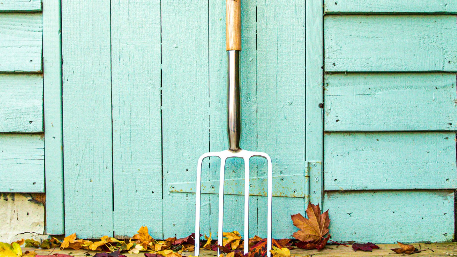 Digging Fork – Ash & Steel